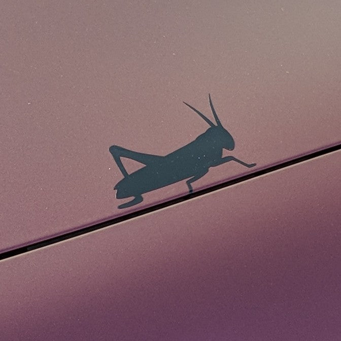 Cricket decal – Everything Vinyl Decal